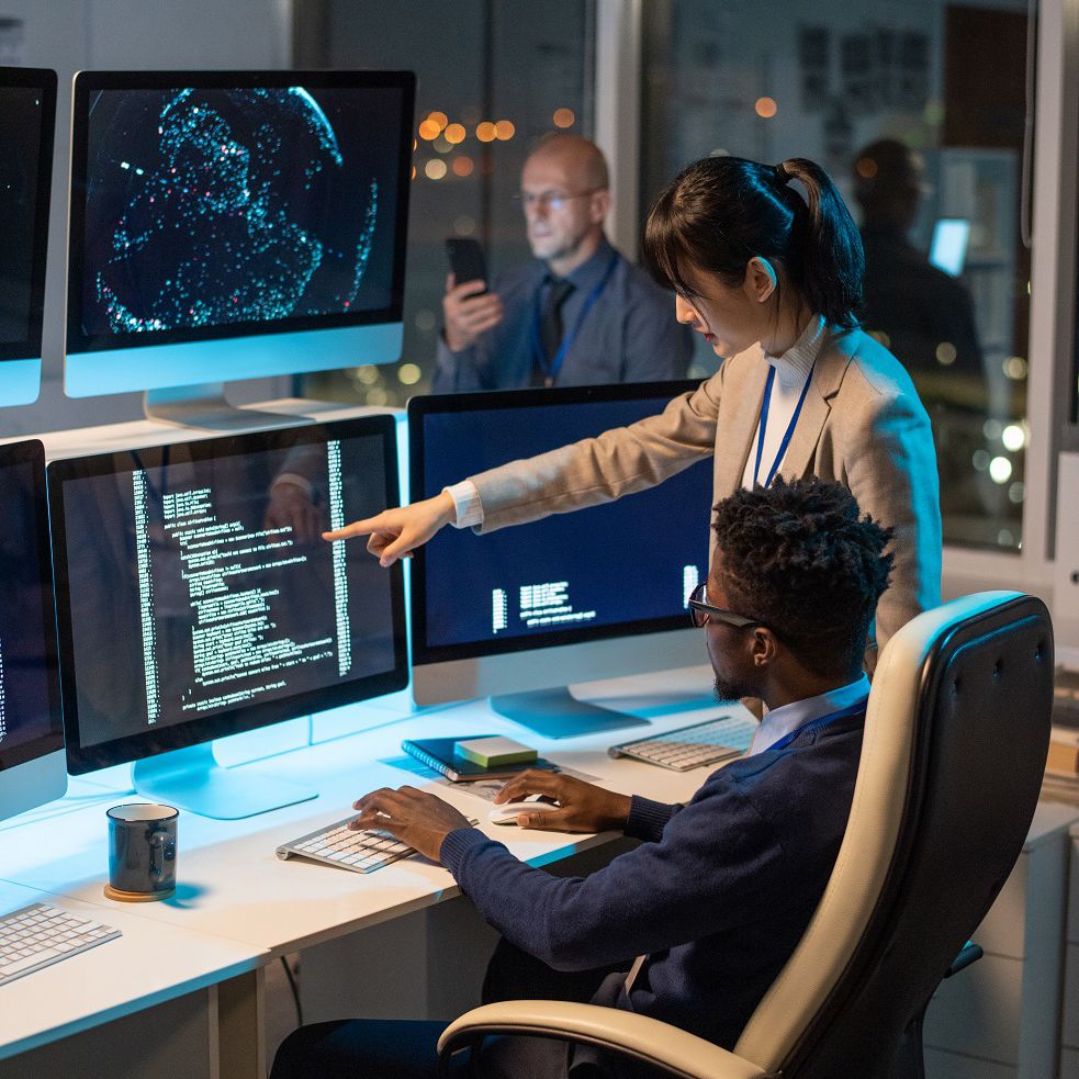 TriggerFish IT Solutions - Beratung und Projektmanagement am Puls der Zeit